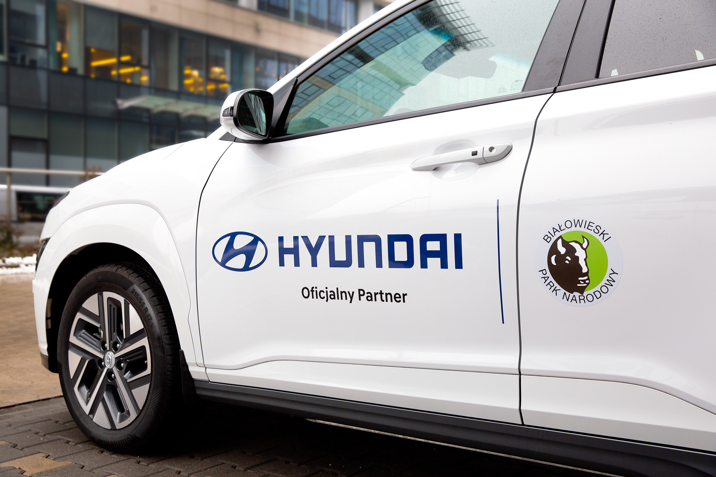 Hyundai Motor Poland kontynuuje w 2022 roku współpracę z Białowieskim ...